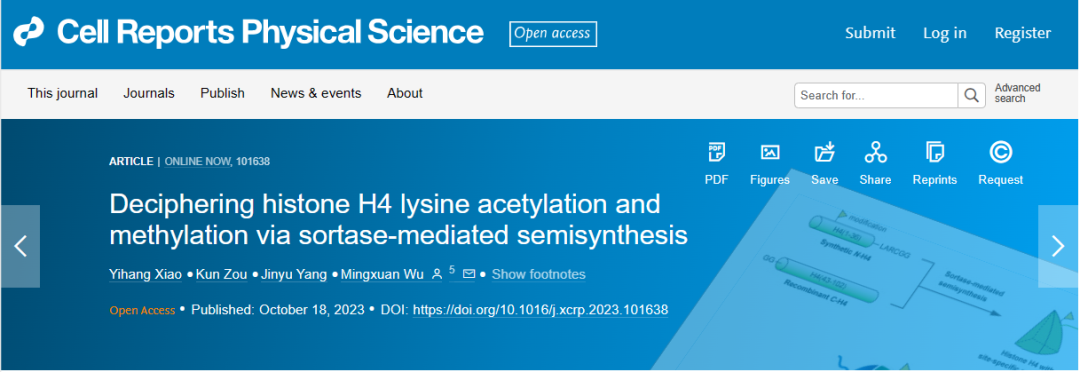 组蛋白H4高效半合成丨理学院吴明轩团队发表最新研究成果