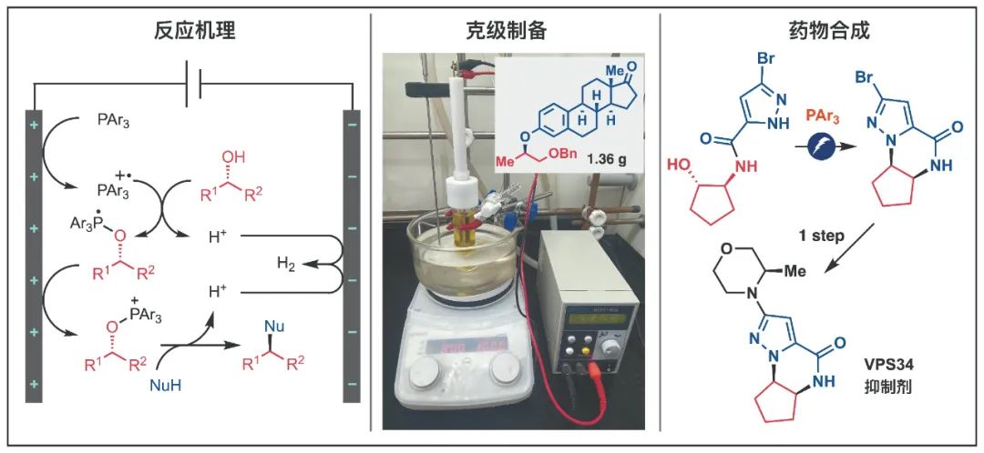 电促Mitsunobu反应丨《德国应用化学》发表理学院胡鹏飞团队最新研究成果