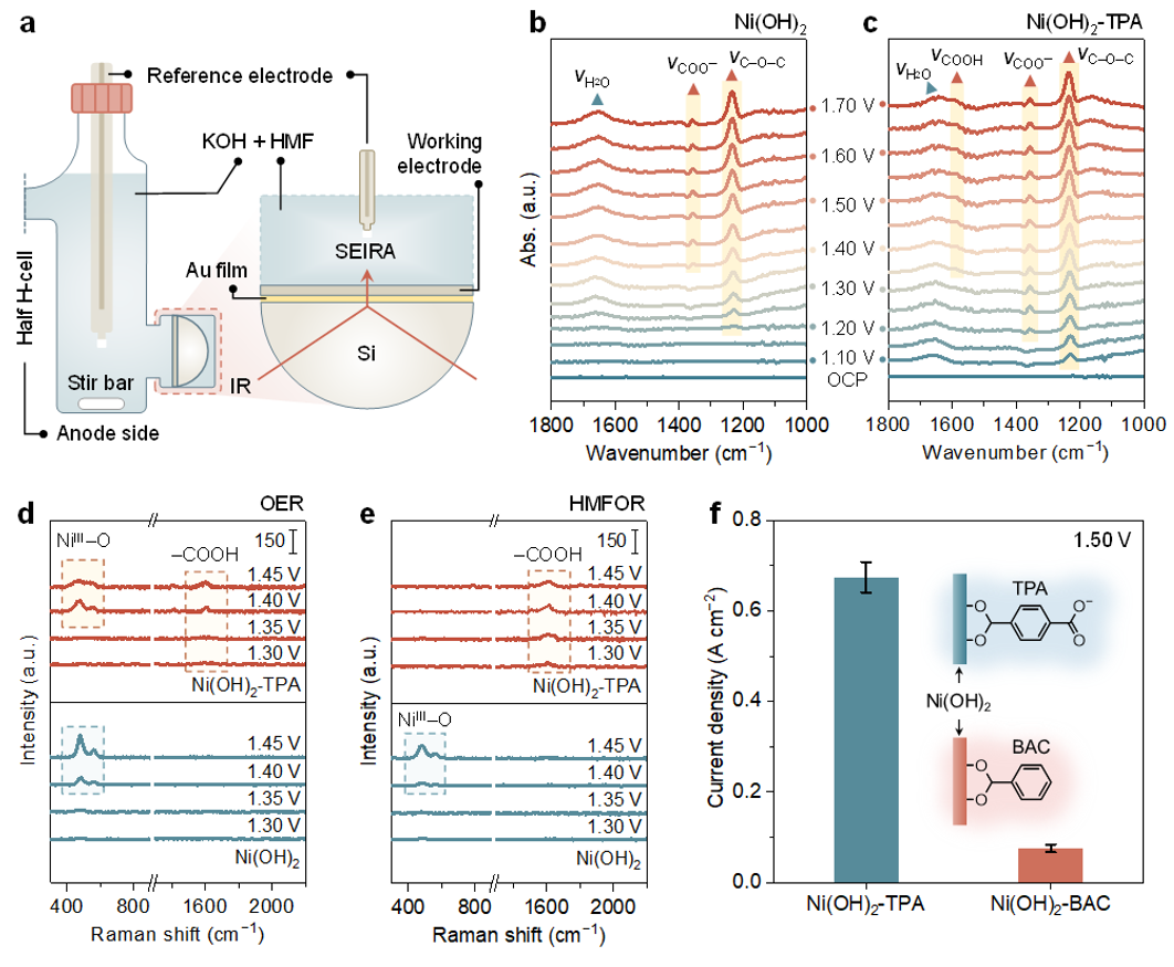 大幅降低成本！受自然界启发的高效HMF氧化催化剂丨人工光合作用与太阳能燃料中心发表最新研究