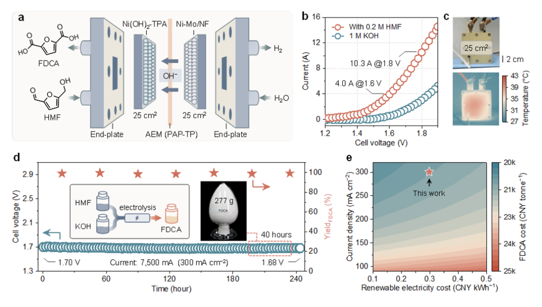 大幅降低成本！受自然界启发的高效HMF氧化催化剂丨人工光合作用与太阳能燃料中心发表最新研究